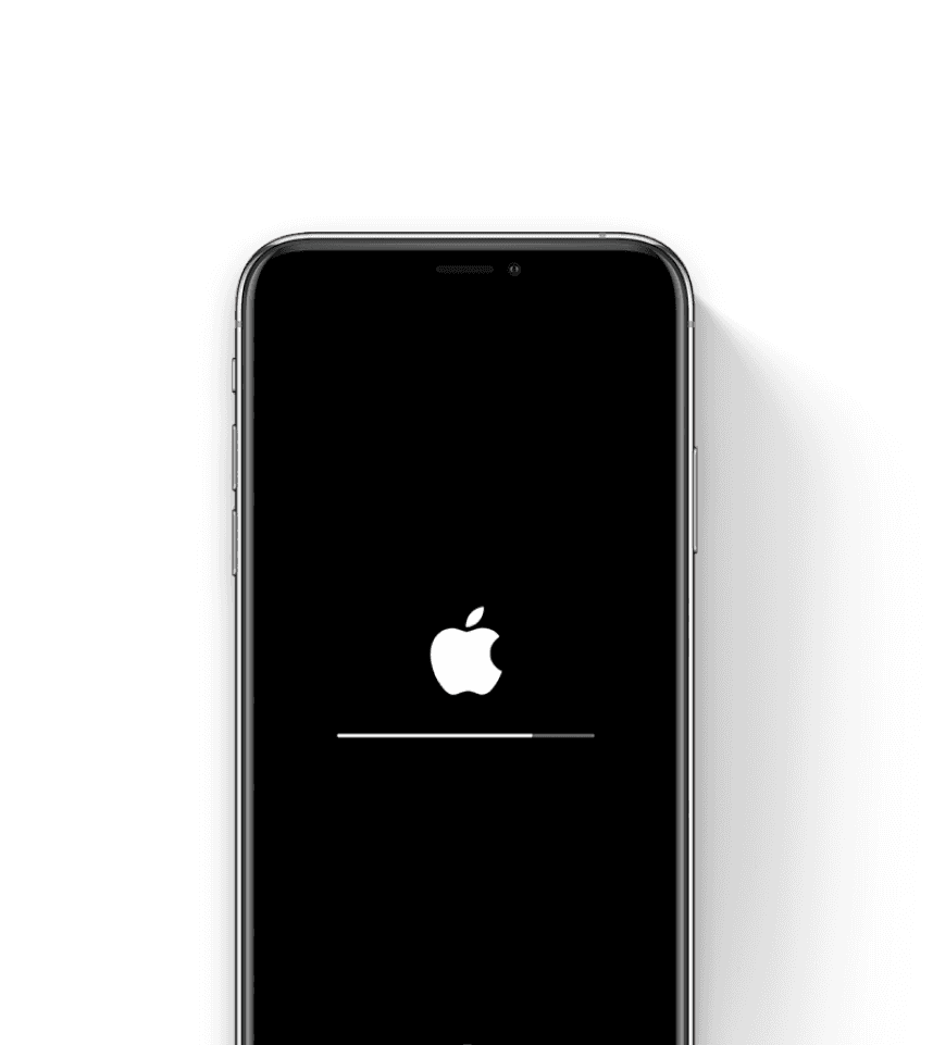 About Us - Reebelo US