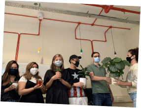 About Us - Reebelo US